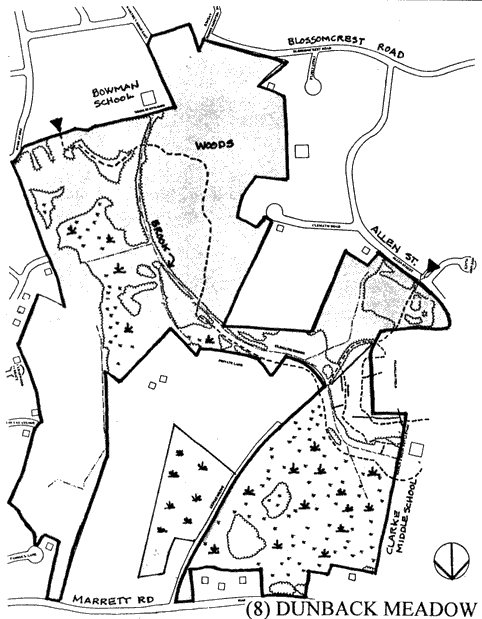Dunback Meadow – Walking in the Woods